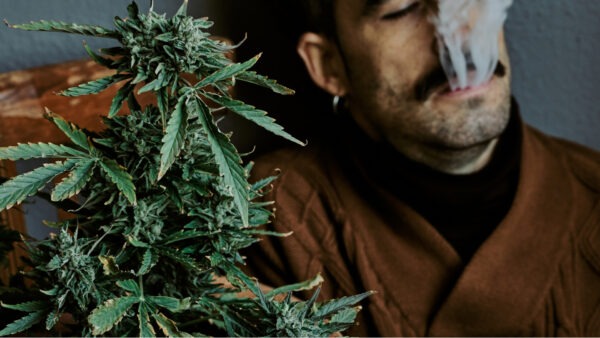 How to Detox from Weed & How Long Will It Take?