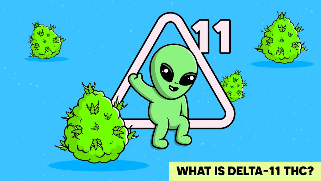 What Is Delta-11 THC? A Guide to Effects, Potency & Legality